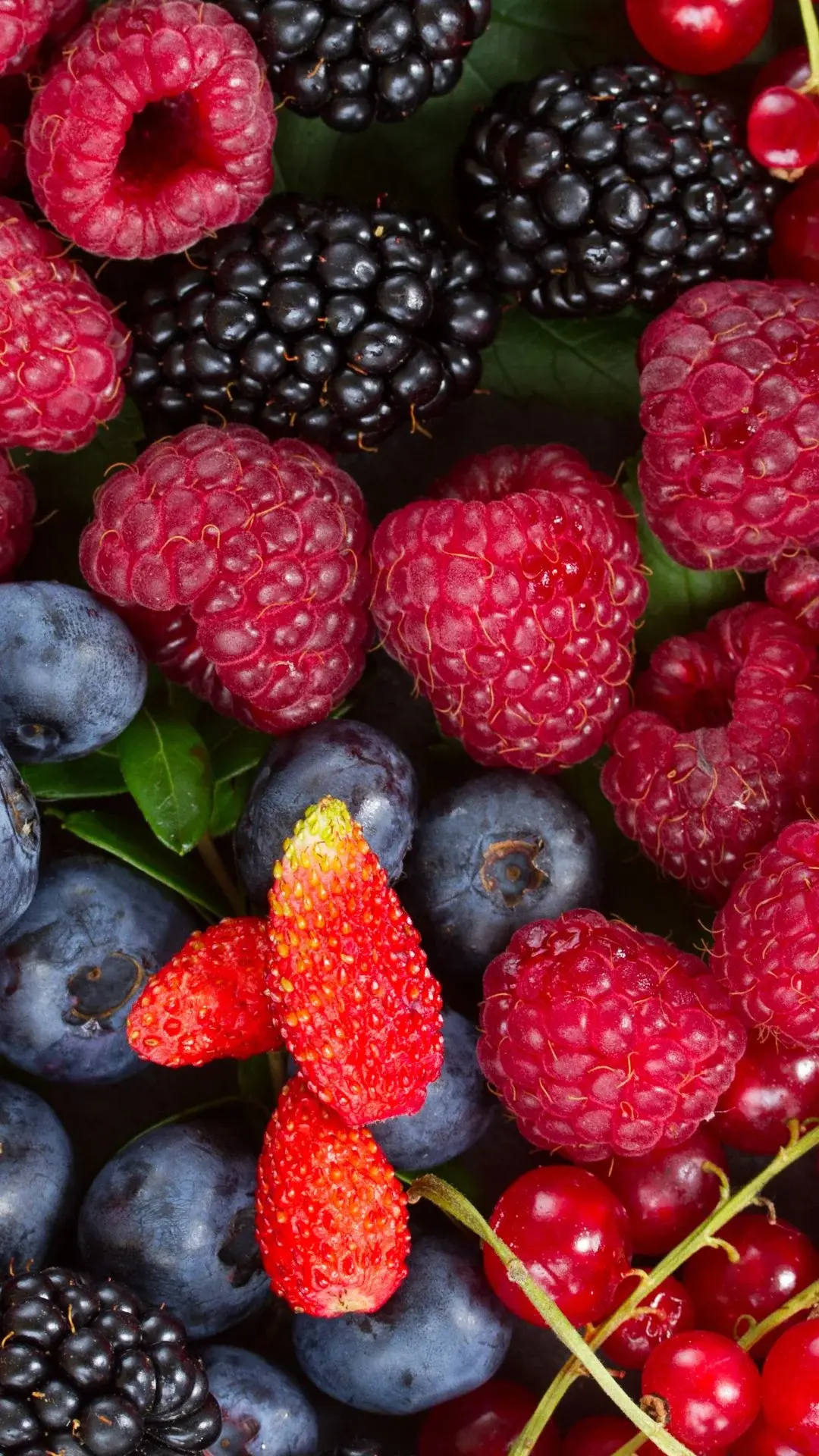 Berries Galore: 8 Delicious Desserts Showcasing the Bright Flavors of ...