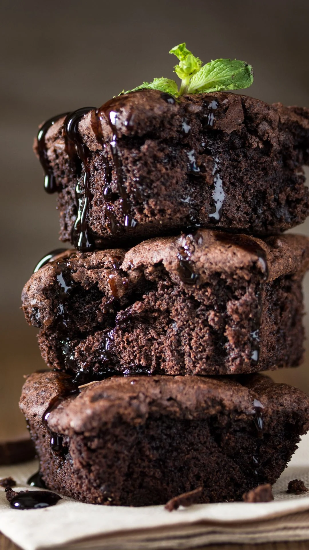Chocolate Chip Extravaganza: 7 Varieties of Chocolate Chip Brownies