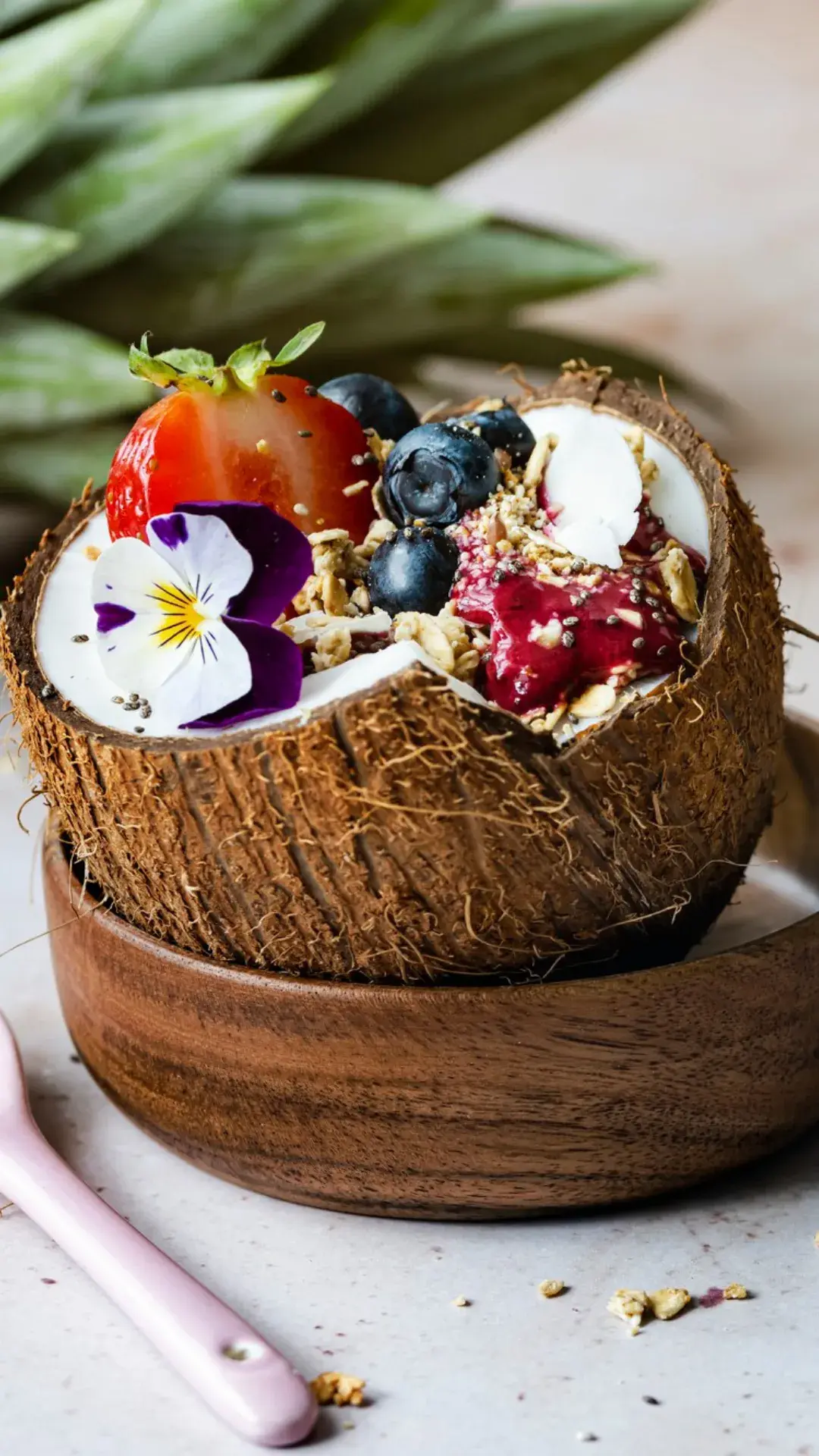 Coconut & Chocolate: Heavenly Dessert Combos